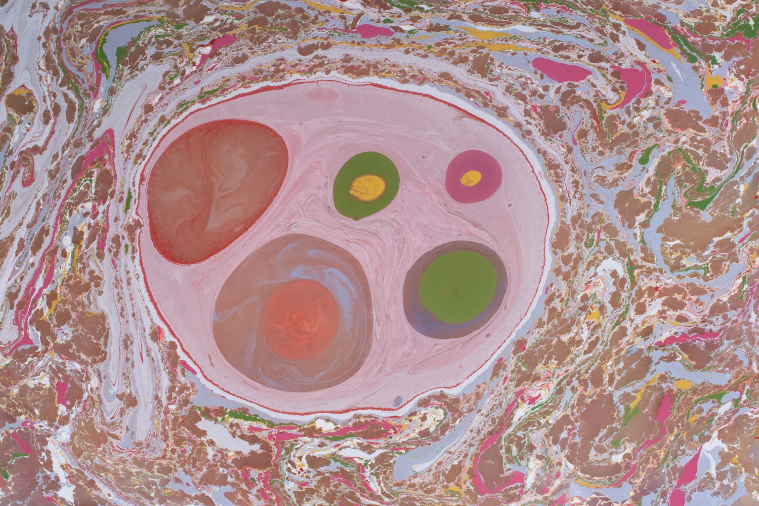 Muse Cells in Regenerative Medicine: What You Need to Know