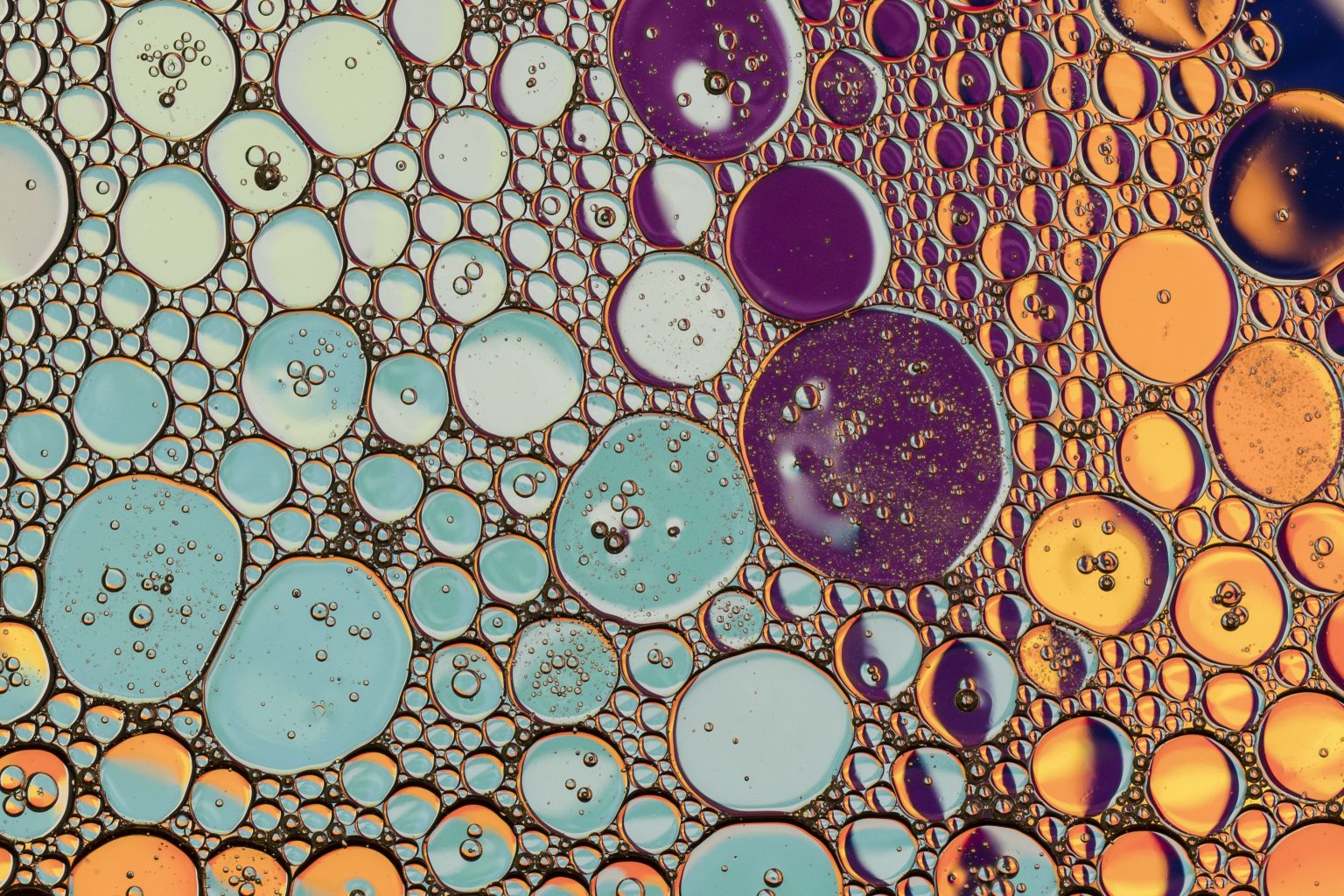 The Science Behind Stem Cells and Autism Spectrum Disorder
