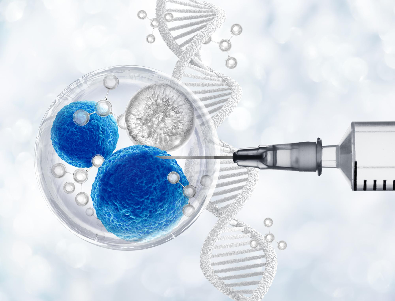 Stem Cell Therapy for Deafness: Experimental Treatment Option